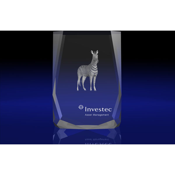 Printed Crystal Glass Zoo Themed Paperweight