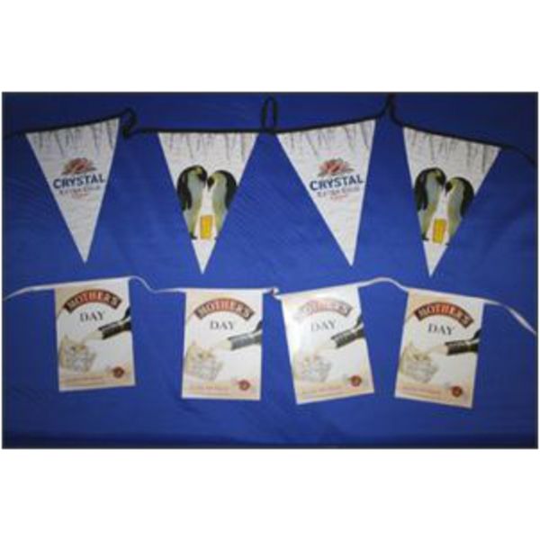 Promotional Promotional PVC Bunting