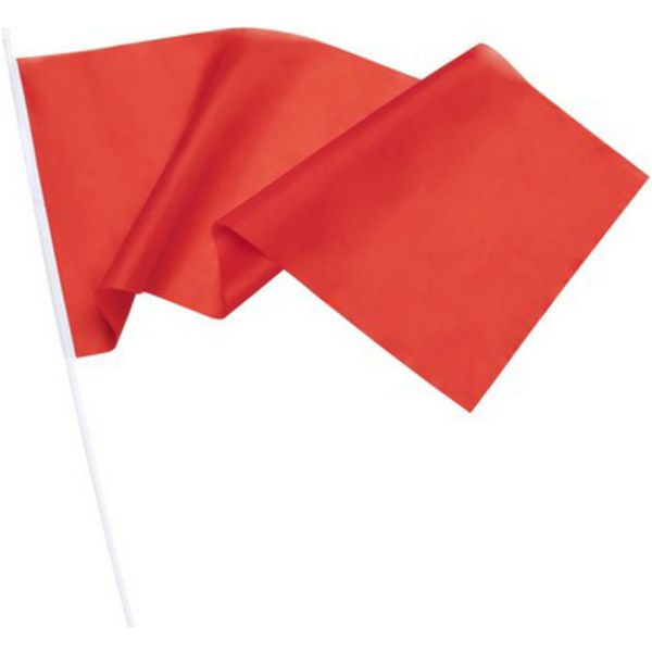 Printed Fan flag